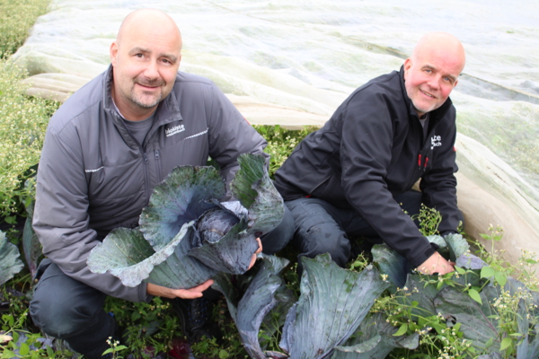Frisch ausgepackt für Sie - Weissenbach